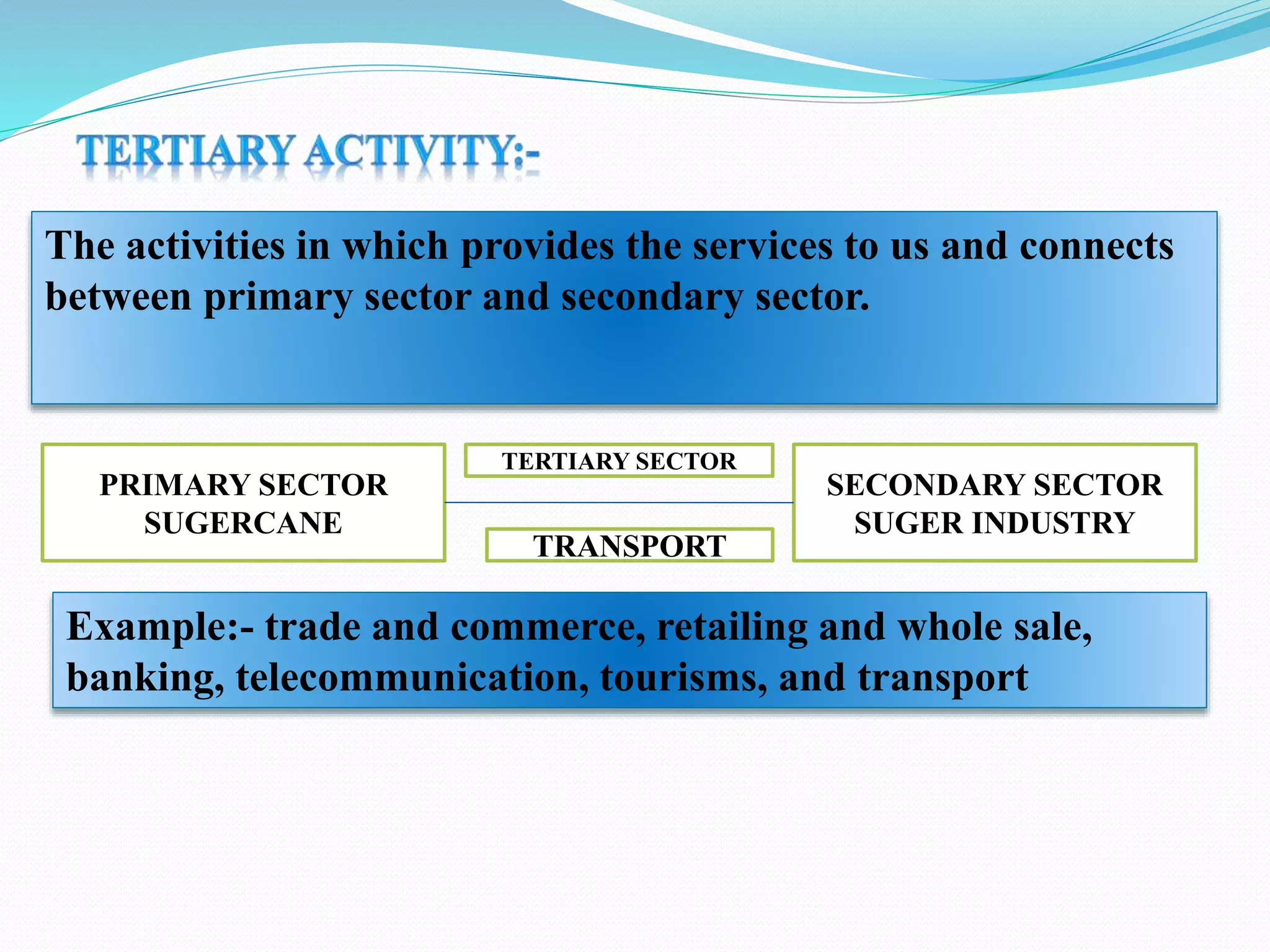 ECONOMICS ACTIVITY | PPTX
