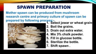 MUSHROOM CULTIVATION | PPTX