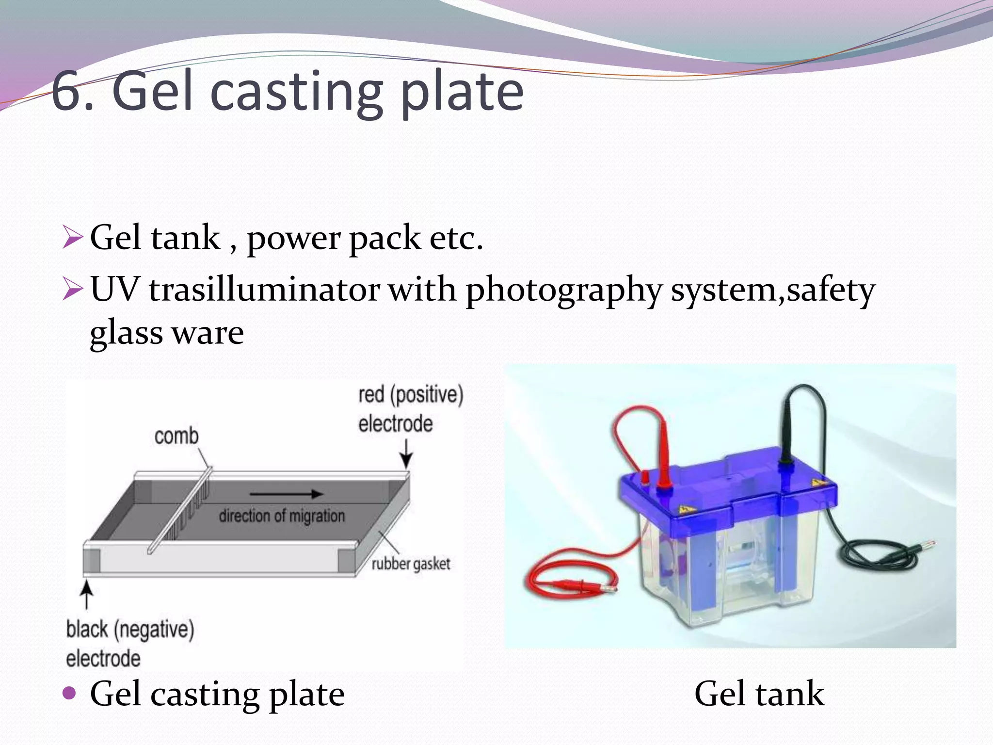 Protocol of DNA Gel Electrophoresis in agarose gel for experimental ...