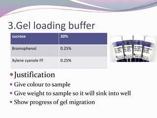 Protocol of DNA Gel Electrophoresis in agarose gel for experimental ...