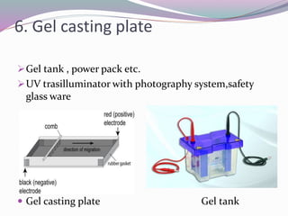 Protocol of DNA Gel Electrophoresis in agarose gel for experimental ...