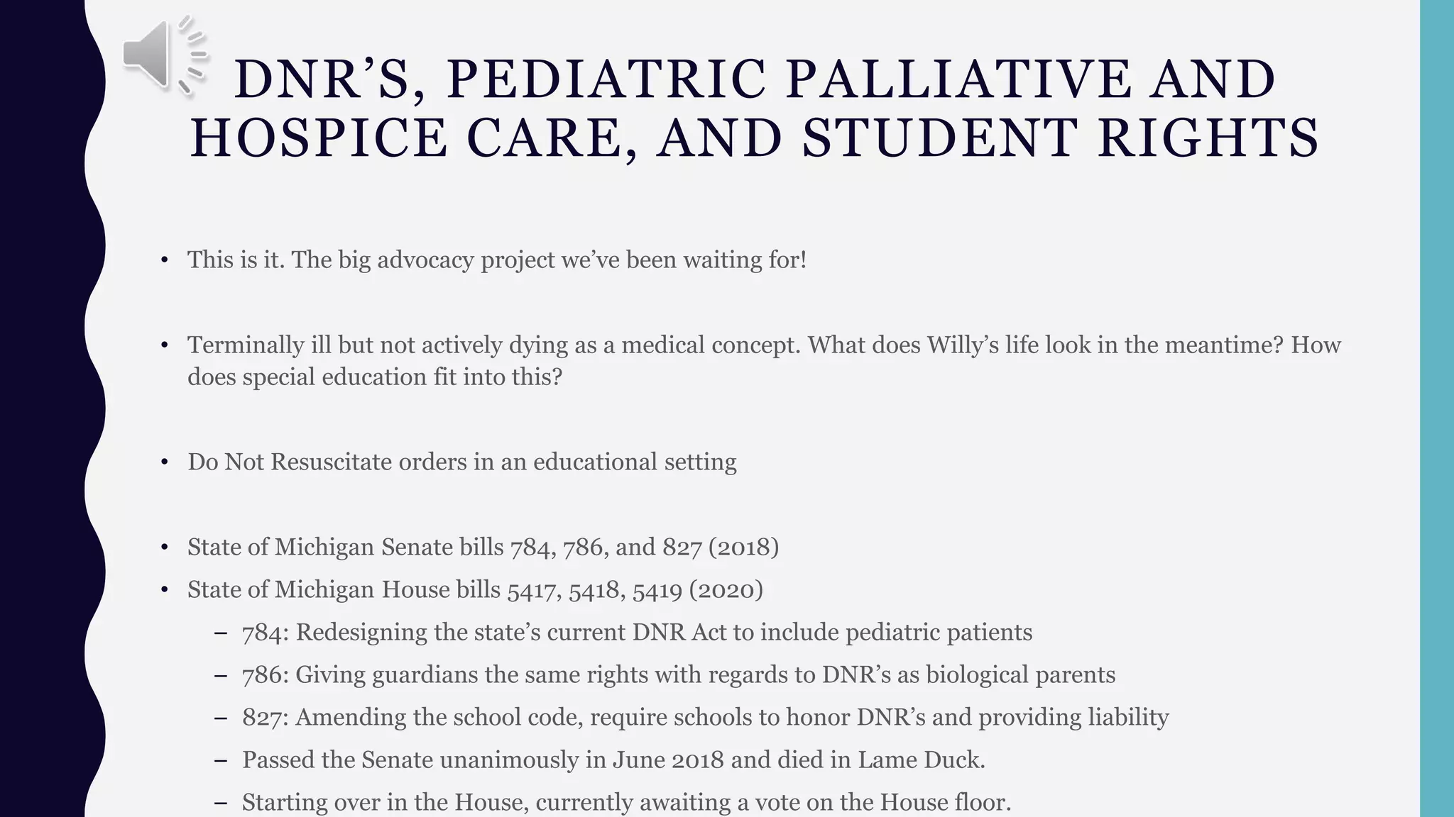 Willy: Life, Love, and Beautiful Chaos | PPT