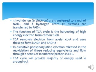 TCA cycle 2 | PPTX | Chemistry | Science