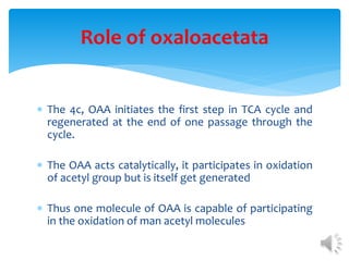TCA cycle 2 | PPTX | Chemistry | Science