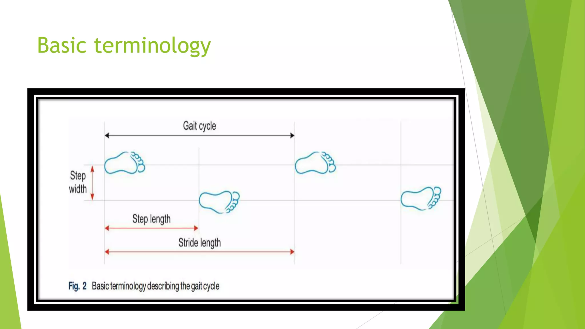Gait -Normal and Abnormal gait :Physiology and Management | PPTX