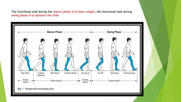 Gait -Normal and Abnormal gait :Physiology and Management | PPTX
