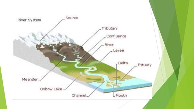 Presentation (2) | PPT