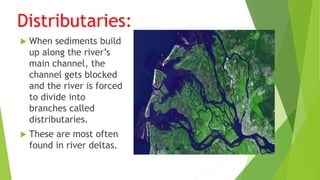 Presentation (2) | PPTX