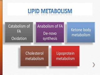 lipid metabolism | PPT