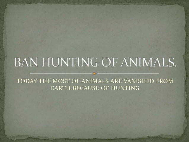 Stop hunting of animals Ppt | PPTX