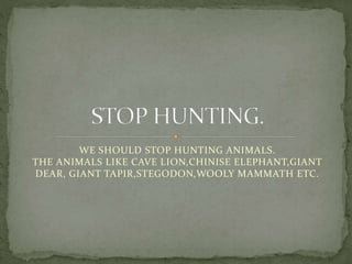 Stop hunting of animals Ppt | PPTX