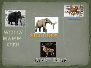 Stop hunting of animals Ppt | PPTX