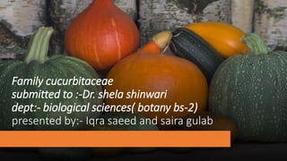 family cucurbitaceae | PPTX