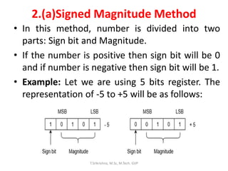 BInary Number Representation | PDF