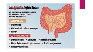 Shigella Outbreak | PPTX