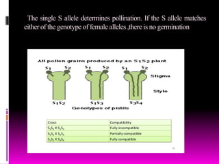 Self incompatibility in plants | PPT