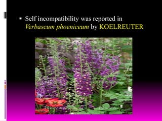 Self incompatibility in plants | PPT