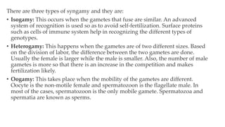 SYNGAMY IN PLANT | PPTX | Infertility | Reproductive Health