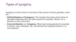 SYNGAMY IN PLANT | PPT