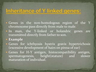 sex linked inheritance | PPTX