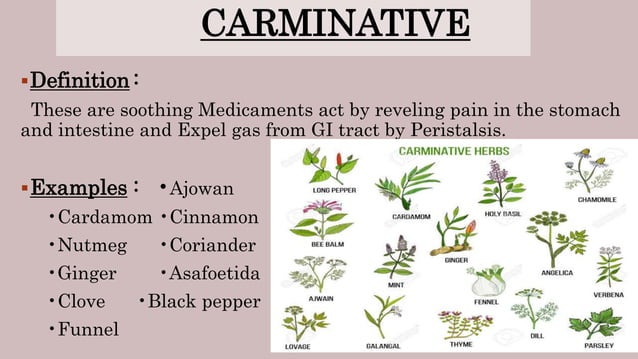 Carminative drugs | PPTX | Food & Drink