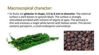 Black pepper, kalimircha Pipper nigrum Linn lysine derivatives , plant ...