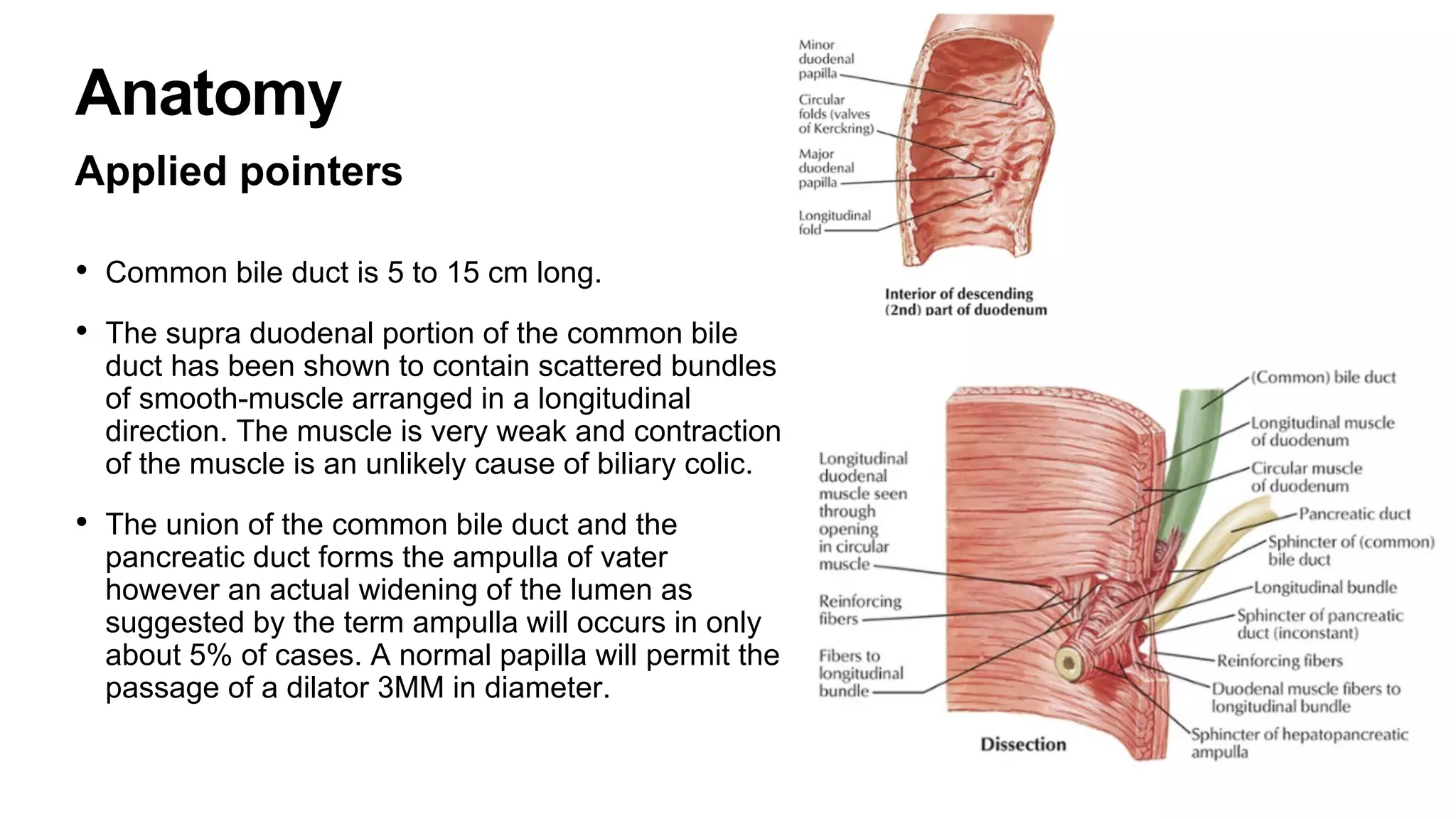 CHOLANGIOCARCINOMA- BILE DUCT CANCER | PPTX