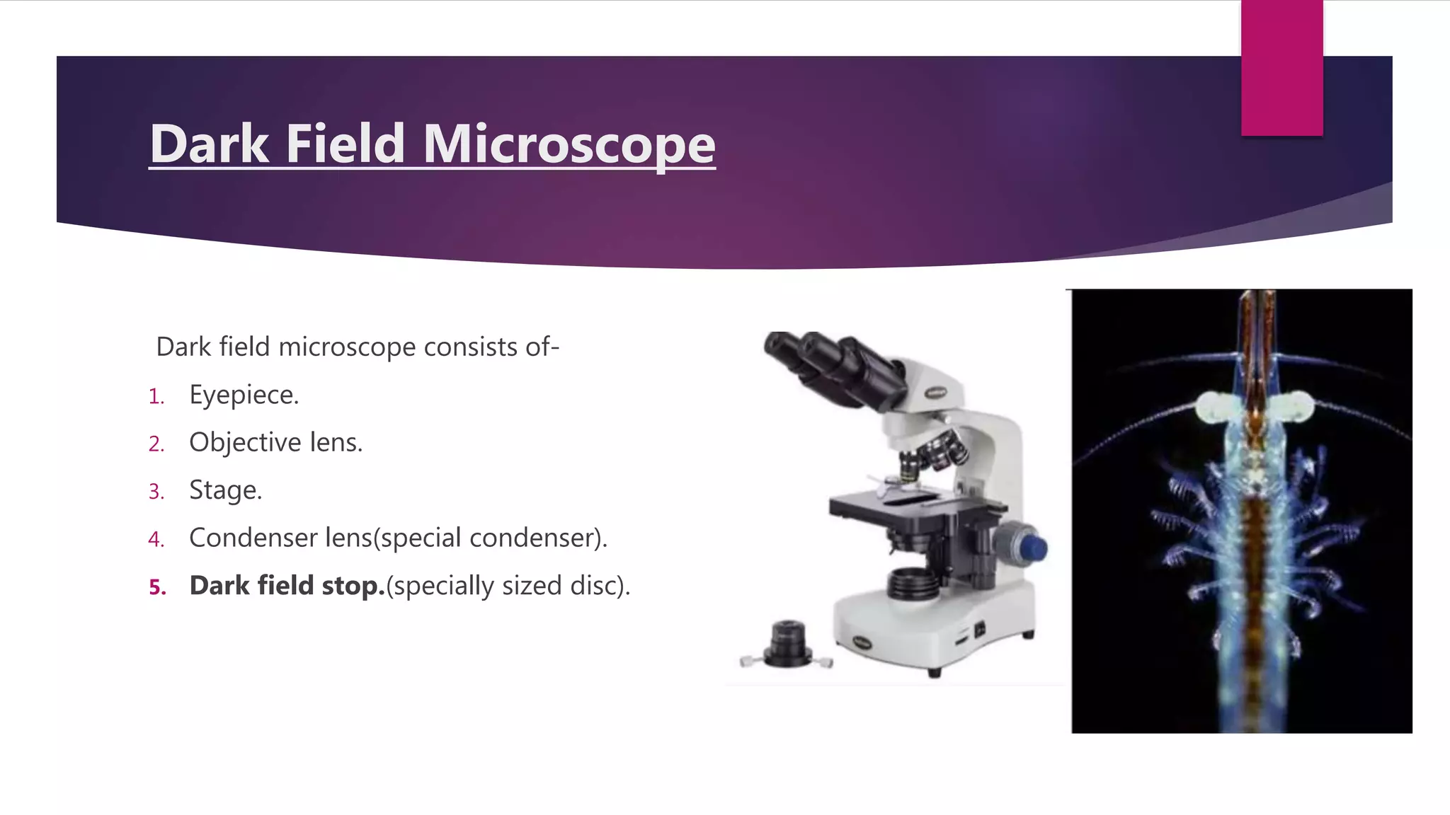 DARK FIELD MICROSCOPY | PPTX