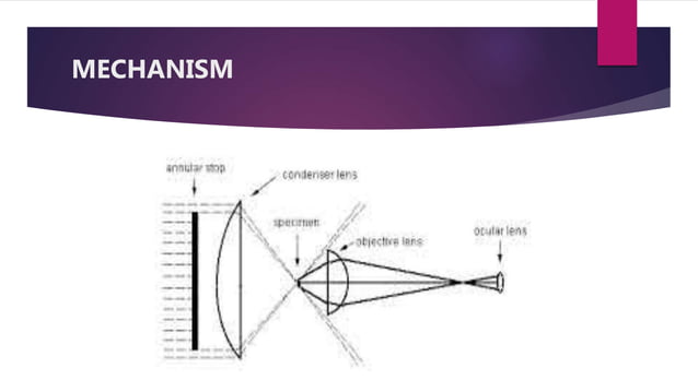 DARK FIELD MICROSCOPY | PPTX