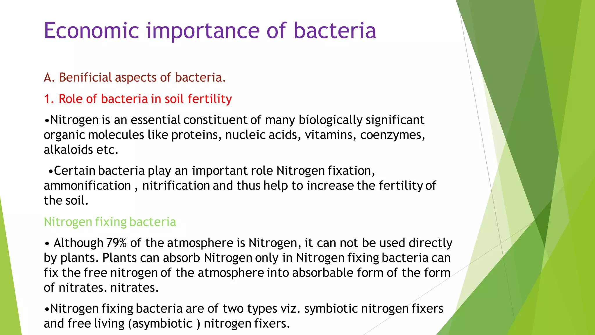 Economic importance of bacteria and fungi | PDF