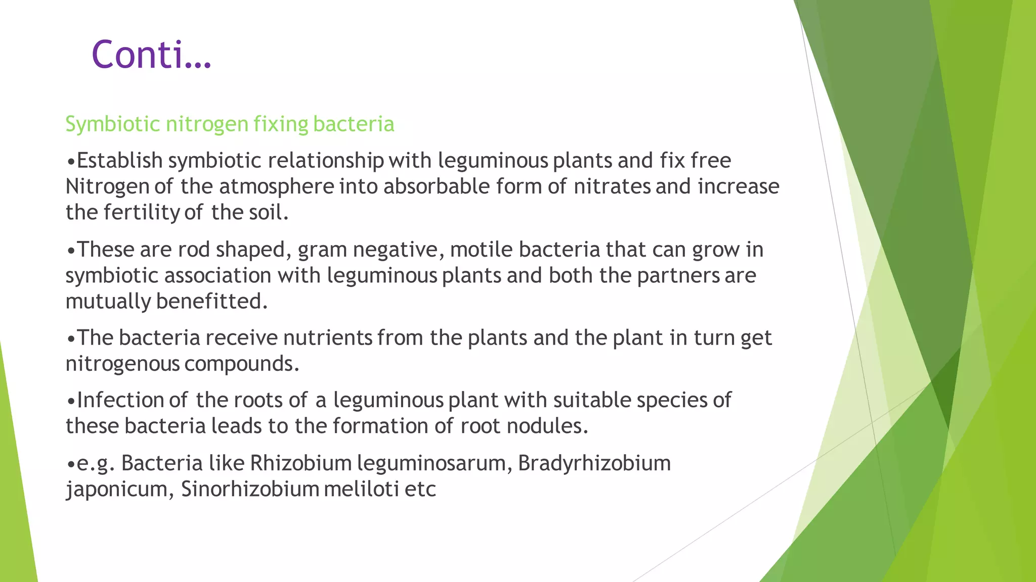 Economic importance of bacteria and fungi | PDF