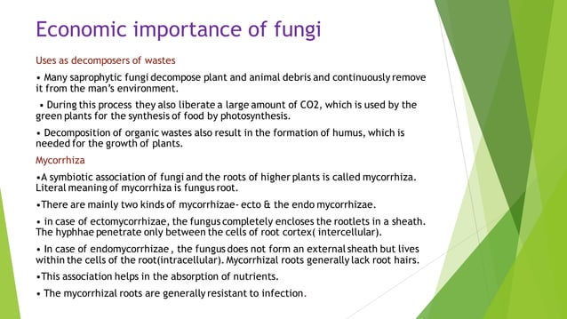 Economic importance of bacteria and fungi | PDF