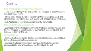 Economic importance of bacteria and fungi | PDF