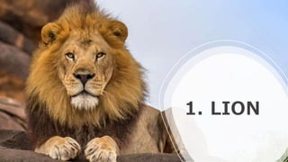 wild animal ppt for kids | PPTX