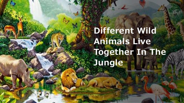 wild animal ppt for kids