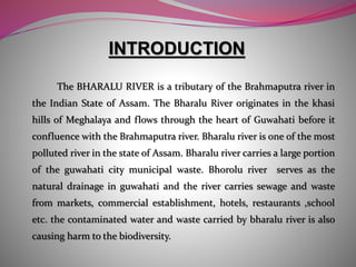 POLLUTION ON BHARALU RIVER | PPTX