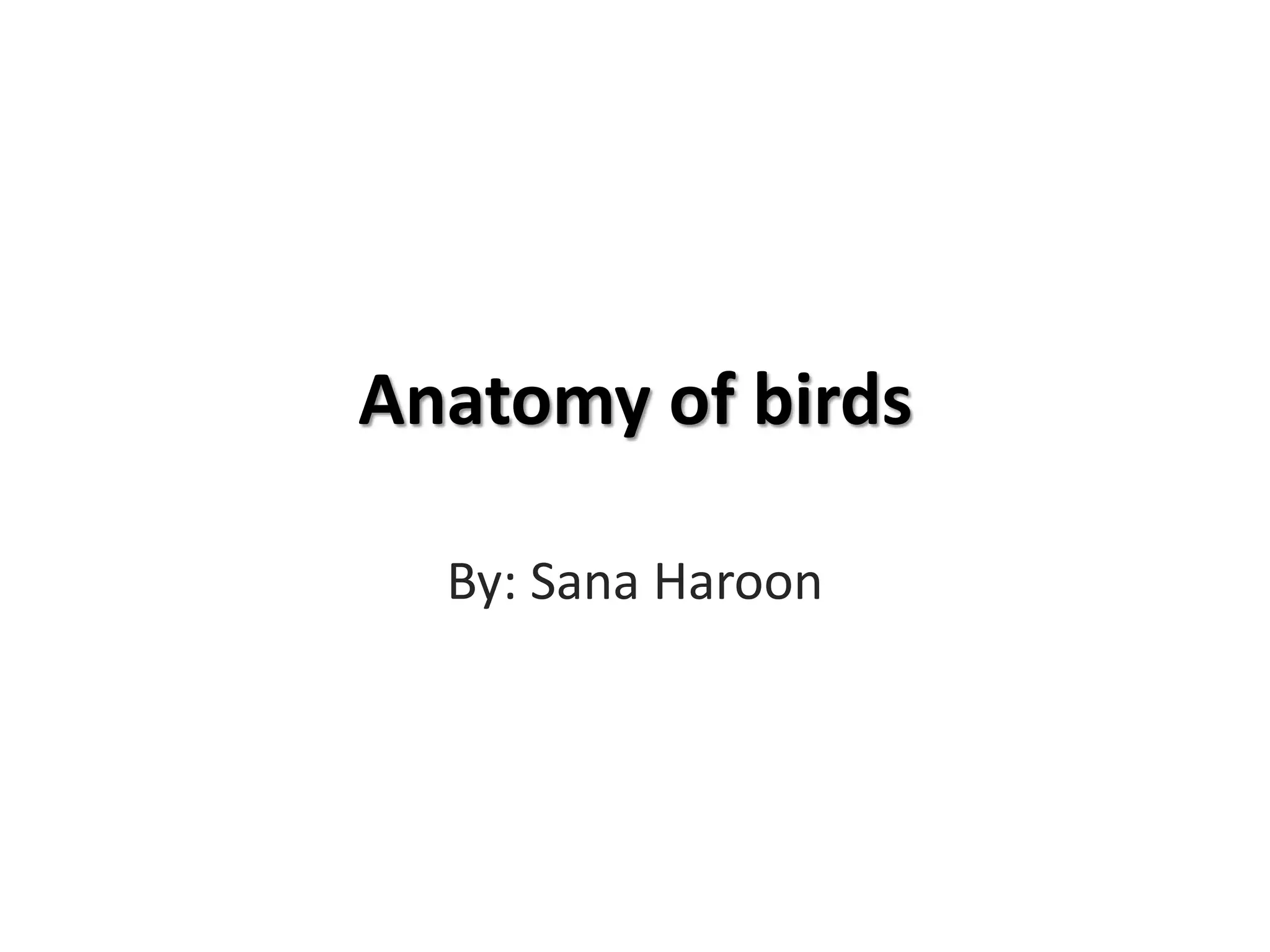 Anatomy of Birds | PPTX