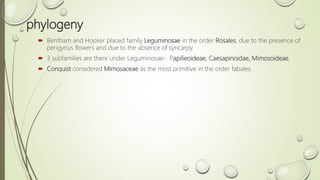 Mimosacaea | PPT | Free Download