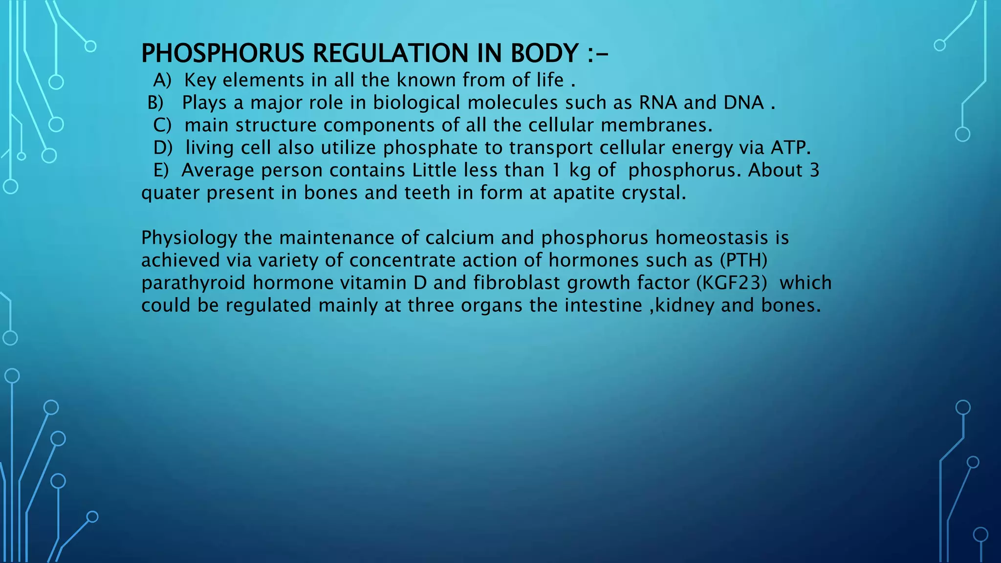 HORMONAL regulation of phosphate homeostasis | PPTX | Endocrine and ...