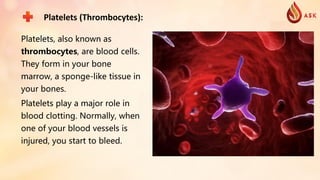 Blood Disorders Awareness | PPTX