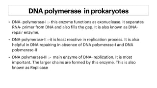 REPLICATION of DNA | PDF