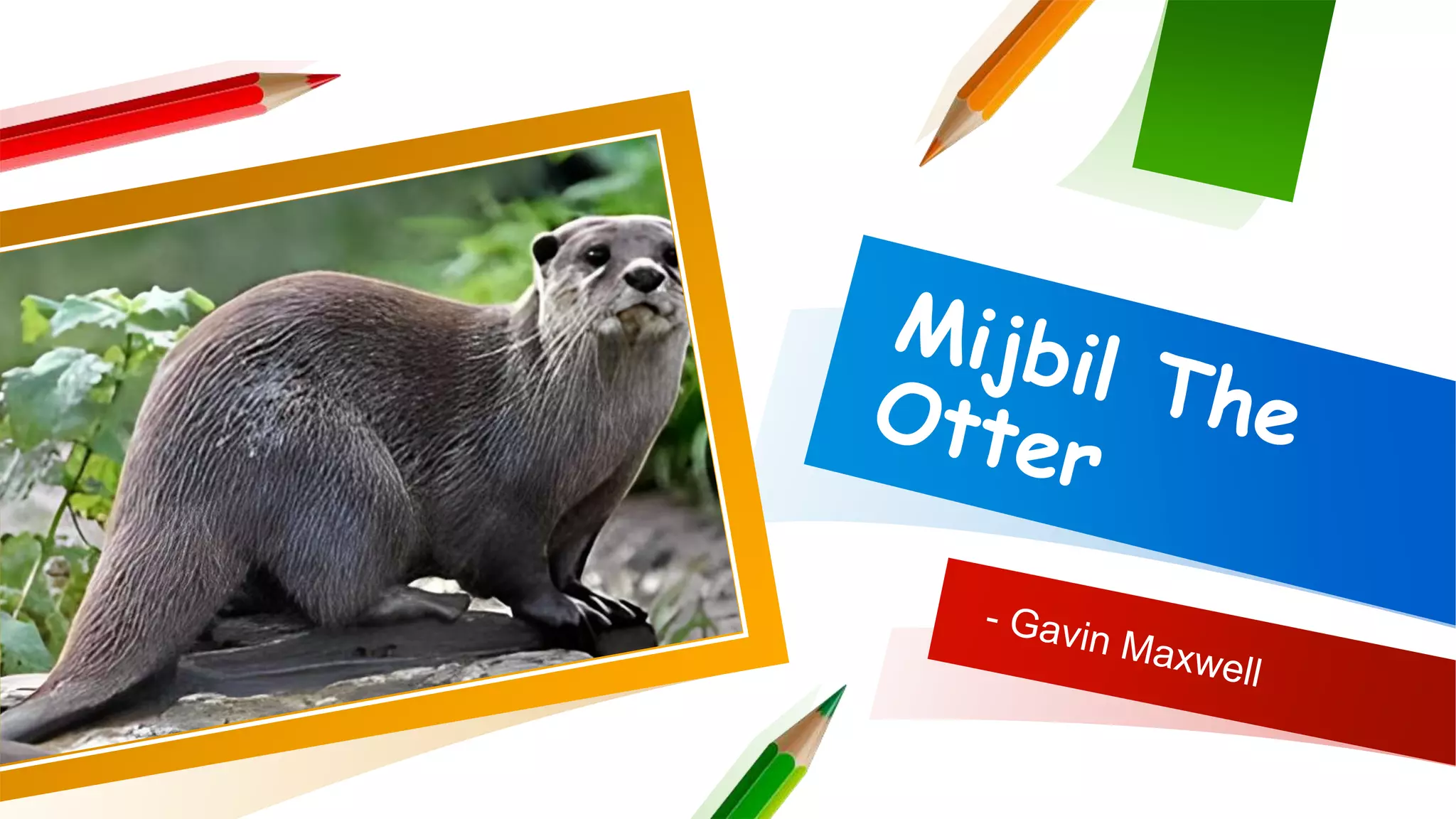 Mijbil The Otter Class 10.pptx | Large Animals | Pets