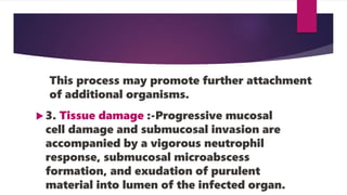 Presentation (2).pptx