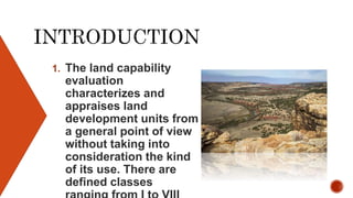 Presentation (2).pptx