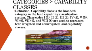 Presentation (2).pptx