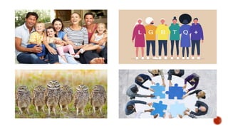 Presentation (2).pptx