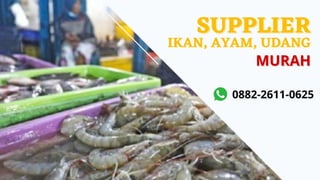 0882-2611-0625, Supplier Ikan | PPTX