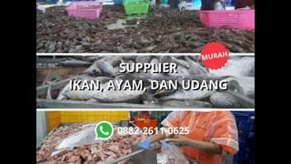 0882-2611-0625, Supplier Ikan | PPTX