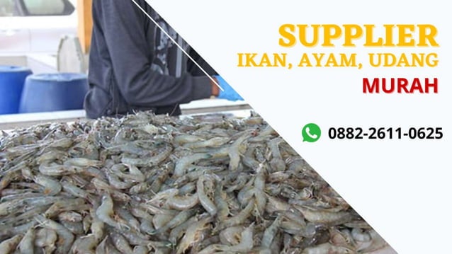 0882-2611-0625, Supplier Ikan Laut | PPTX