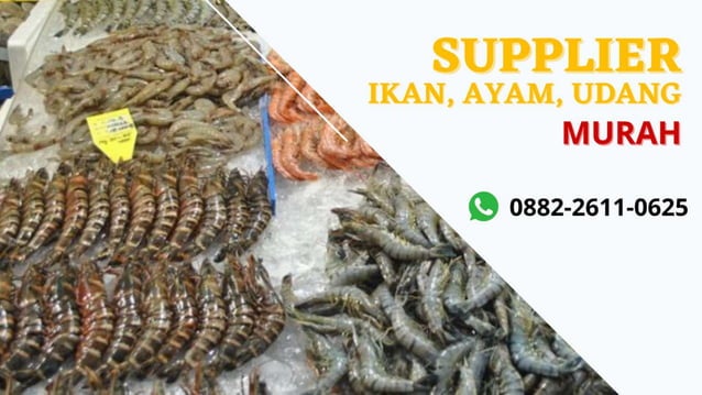 0882-2611-0625, Supplier Ikan Laut | PPTX